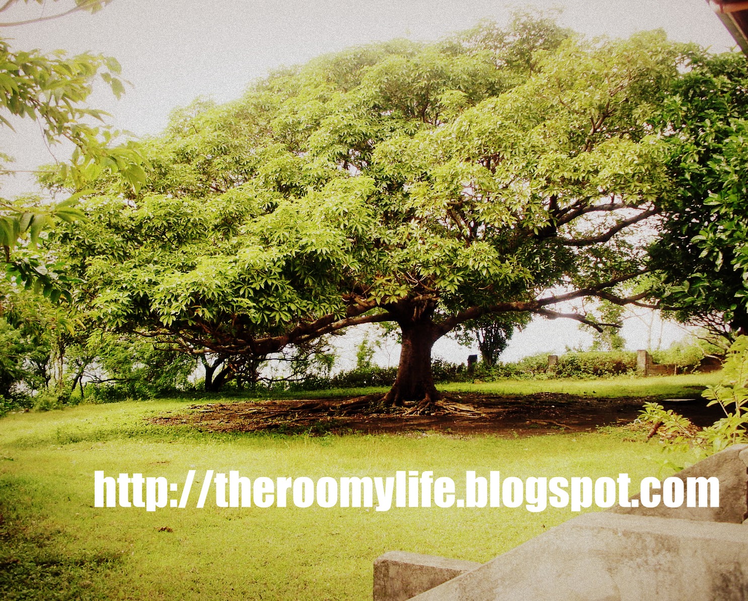 The Roomy Life: Batangas travel: Calatagan Lighthouse