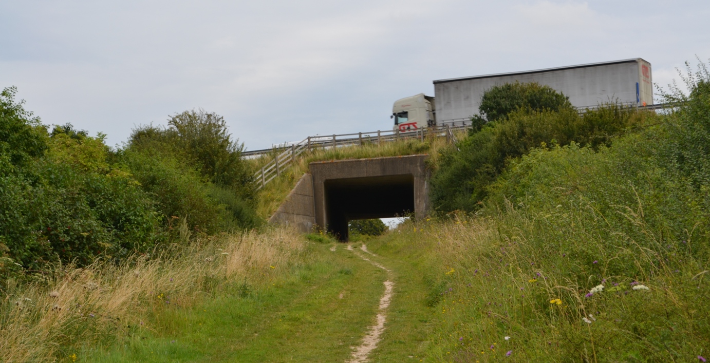 Walks among Flowers: Oxfordshire: Chiltern Escarpment: Aston Rowant to ...