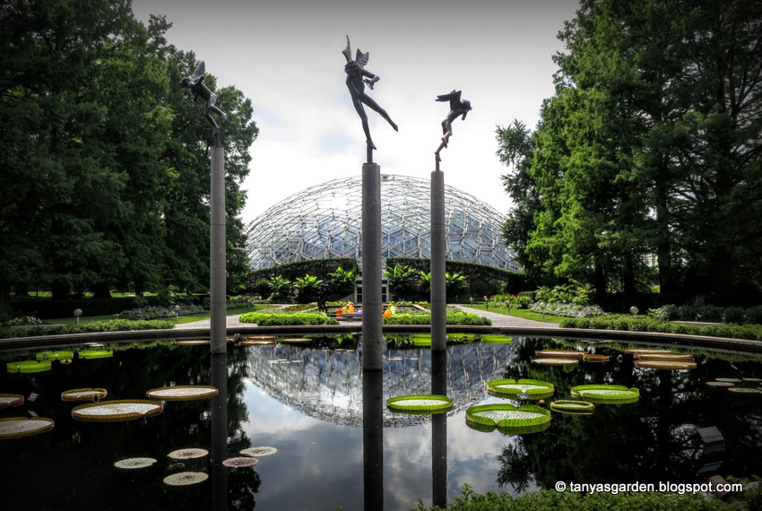 MySecretGarden: Visiting Missouri Botanical Garden