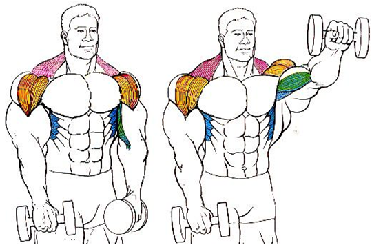 LOS 5 MEJORES EJERCICIOS PARA HOMBROS ~ RUTINAS DE VOLUMEN