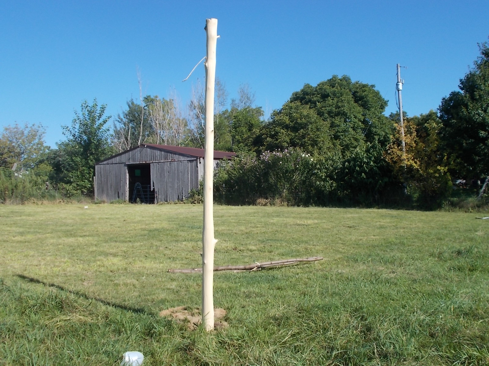 Eaton Rapids Joe: Corner posts, continued