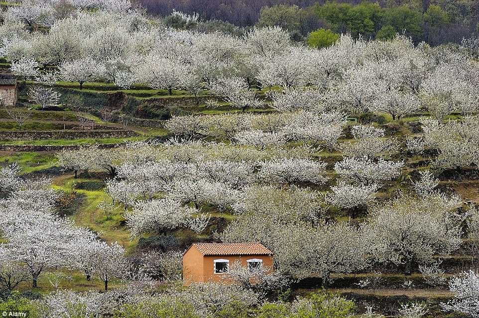 The most beautiful spring destinations in the world ~ Best of Vacations