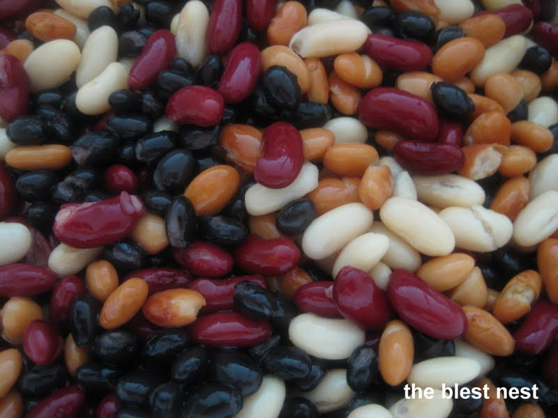 the blest nest: Magic Beans