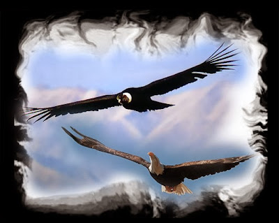 La Senda de Baraka: El Águila y El Cóndor