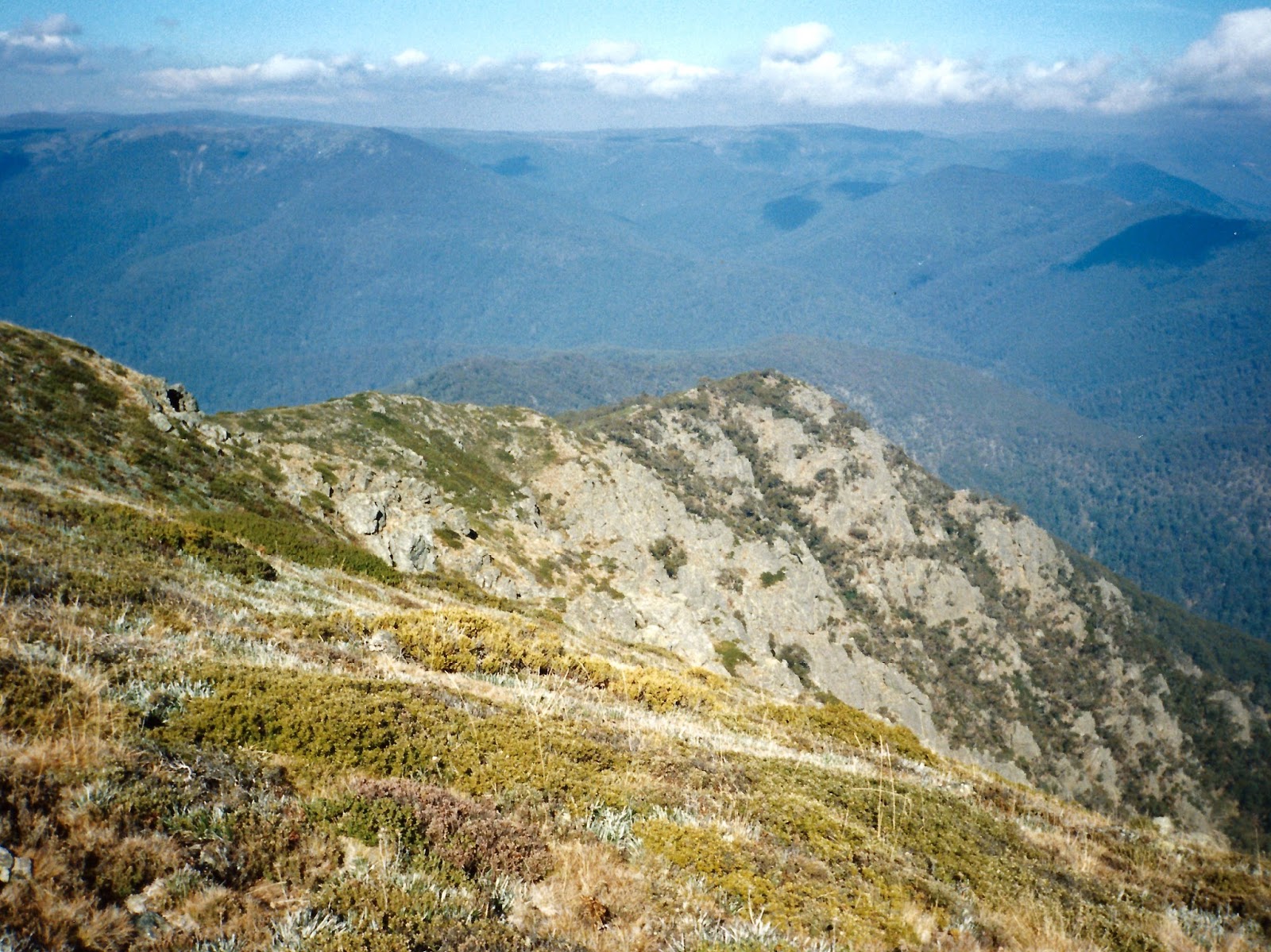 Goin' Feral One Day At A Time: Mount Bogong Twice, Alpine National Park ...
