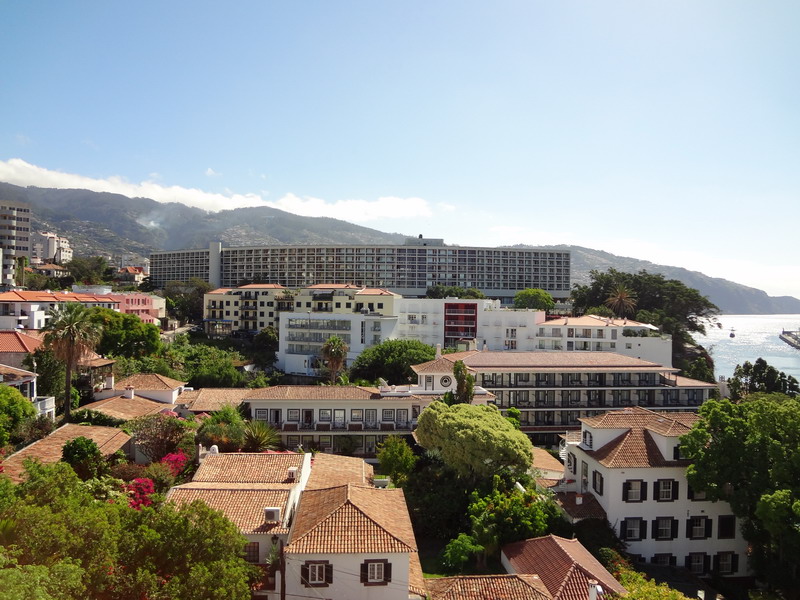 Madeira by Ricky Hanson
