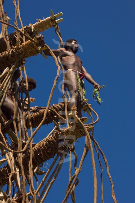 Pix Grove: Land Diving In Vanuatu