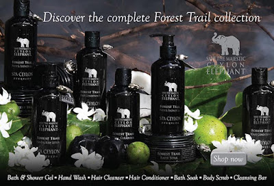 Spa Ceylon: SAVE THE MAJESTIC CEYLON ELEPHANT - A Conservation ...