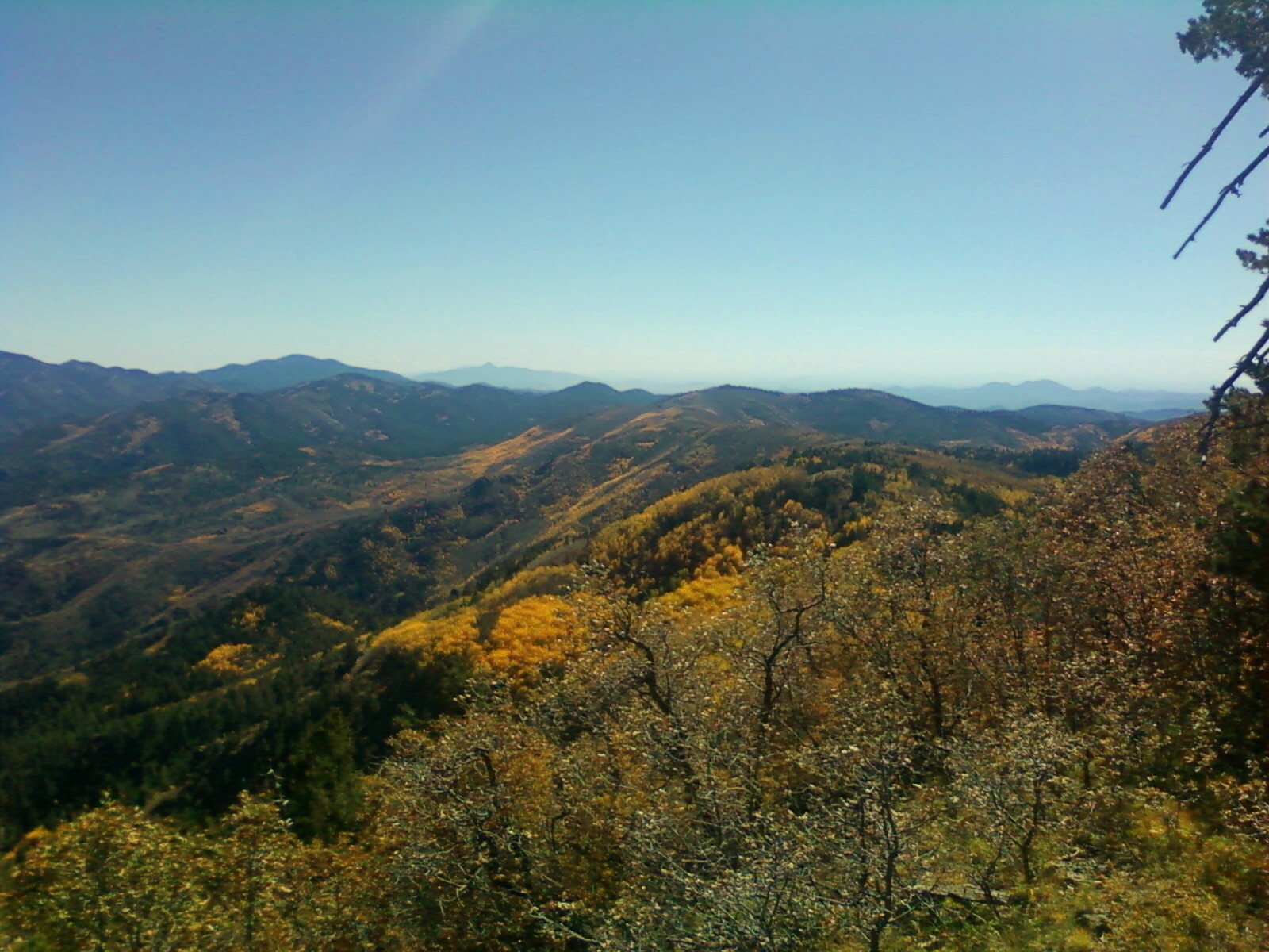 Southern New Mexico Explorer: Powderhorn Ridge Trail-(FT 82)-Aldo ...
