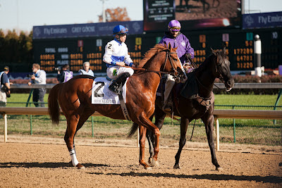 Past the Grandstand: 2012 Preakness Stakes Field Analysis