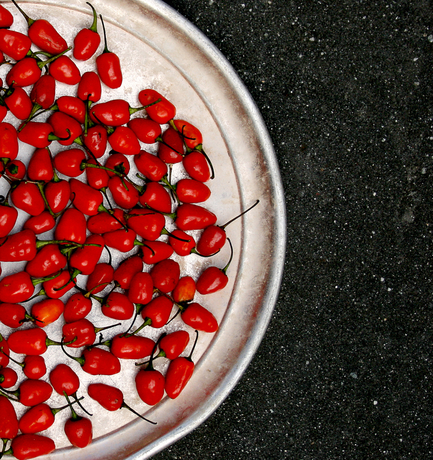 A Quiet Story: Dalle