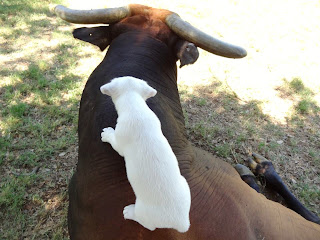 The Field Lab: Heat Wave