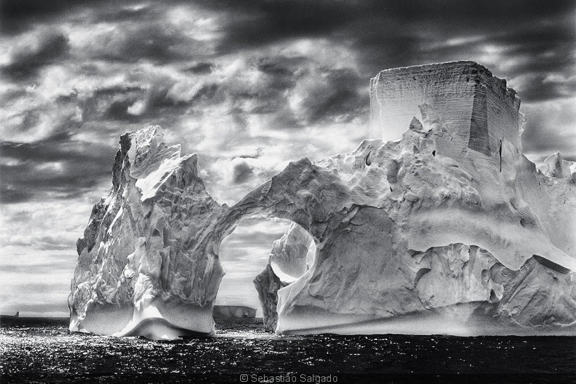 karavan papou: Genesis, Sebastiao Salgado, fondation GoodPlanet jusqu ...