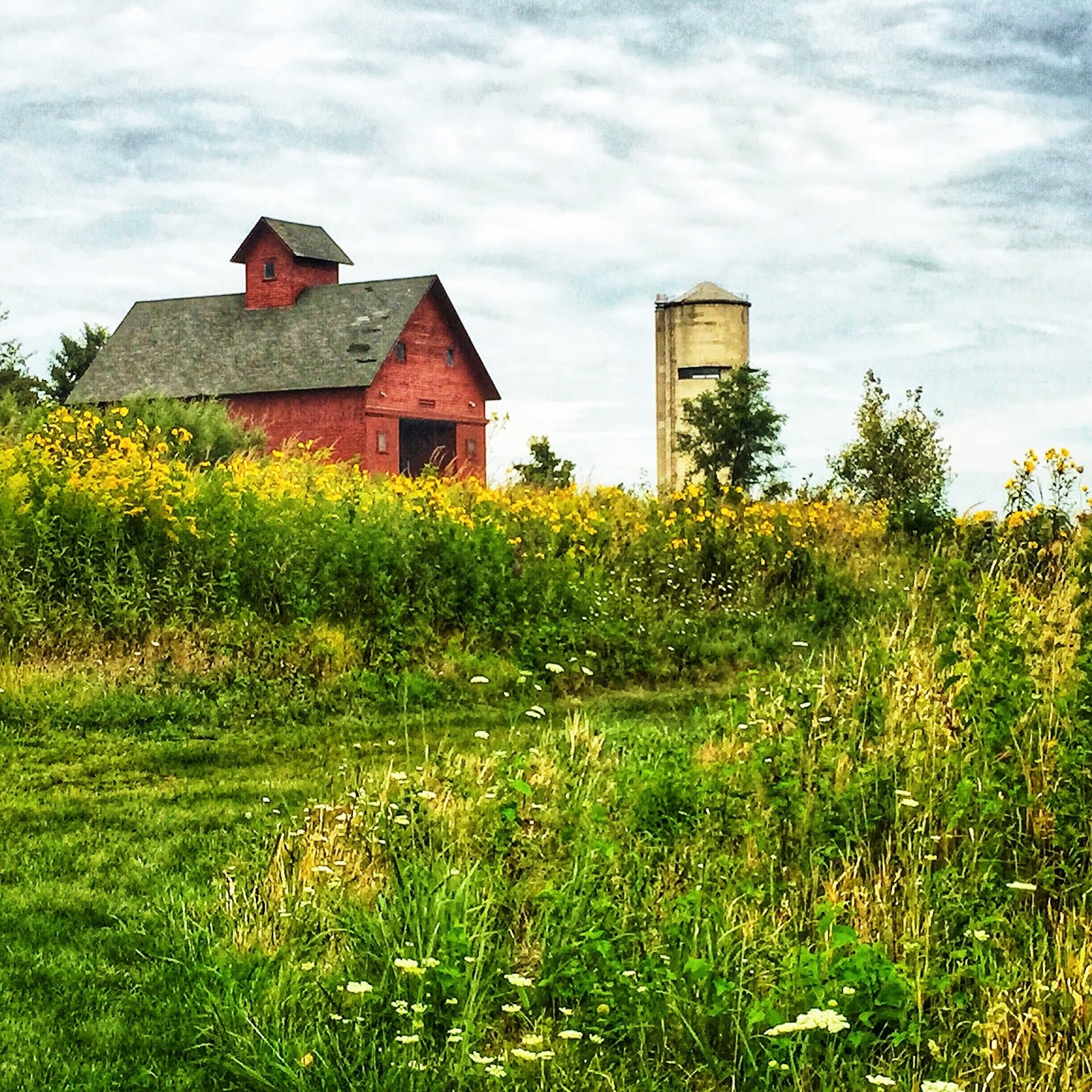 A Little Time and a Keyboard: Hawks Hollow Nature Playground at Peck ...