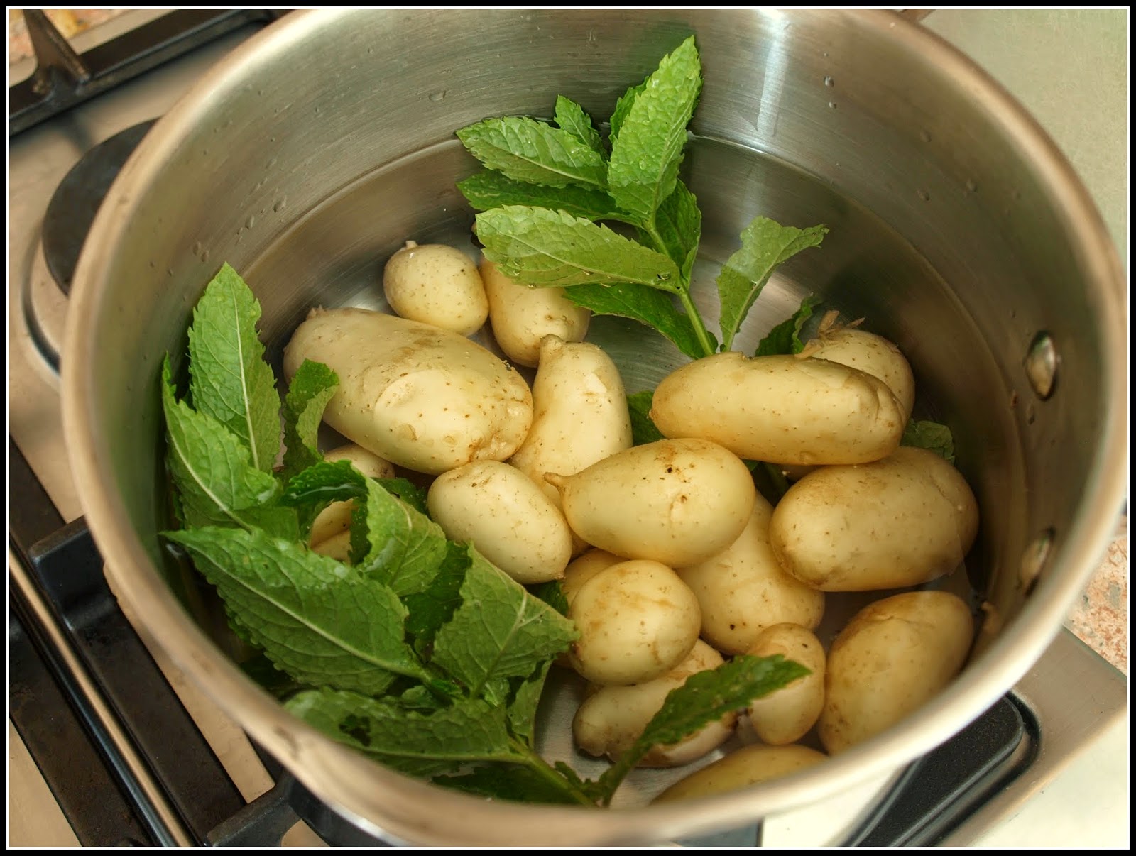 Mark's Veg Plot: Potatoes: an end-of-season review