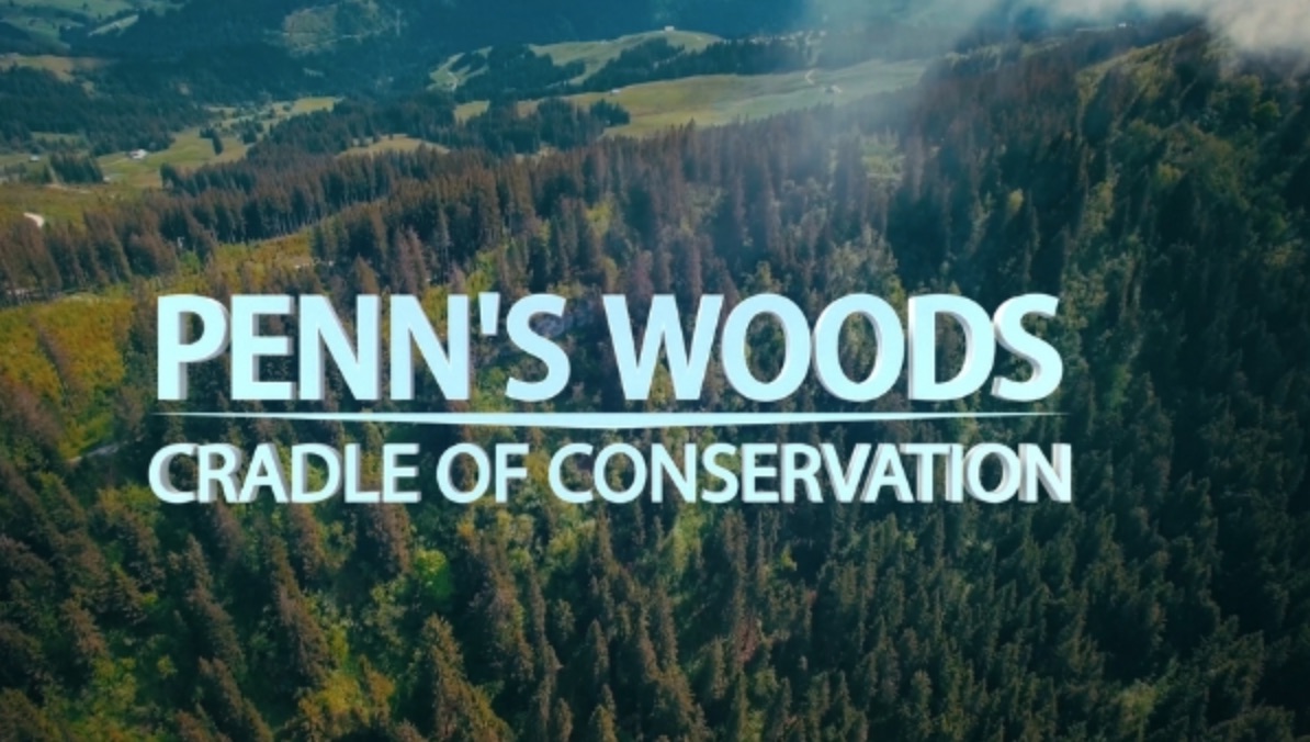 PA Environment Digest Blog: PA Conservation Heritage: New Penn's Woods ...