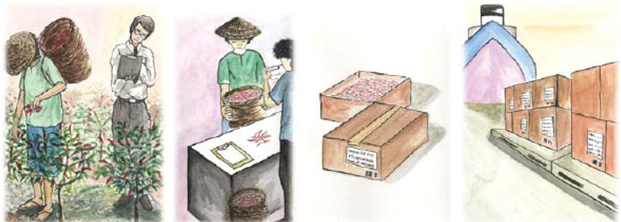 Keamanan Pangan Segar: Mampu Telusur Produk