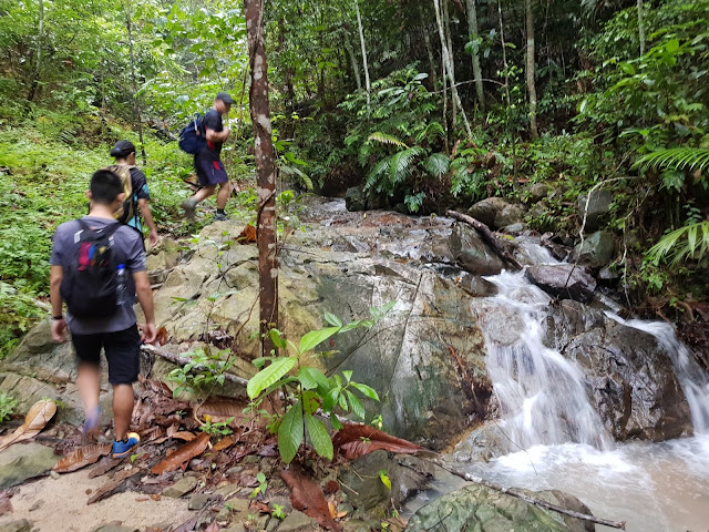 Mount Pulai Day Hike (Jungle Trail No. 2) | Catchingtravels