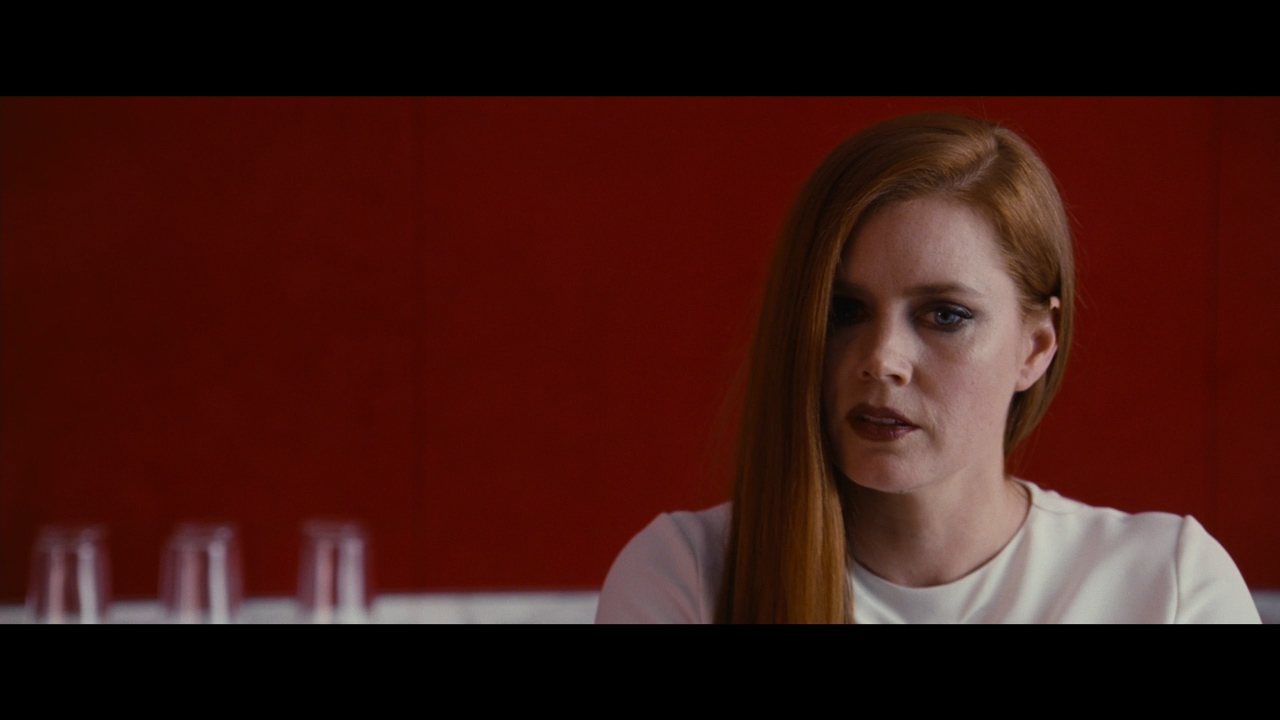 El Programator: Nocturnal animals