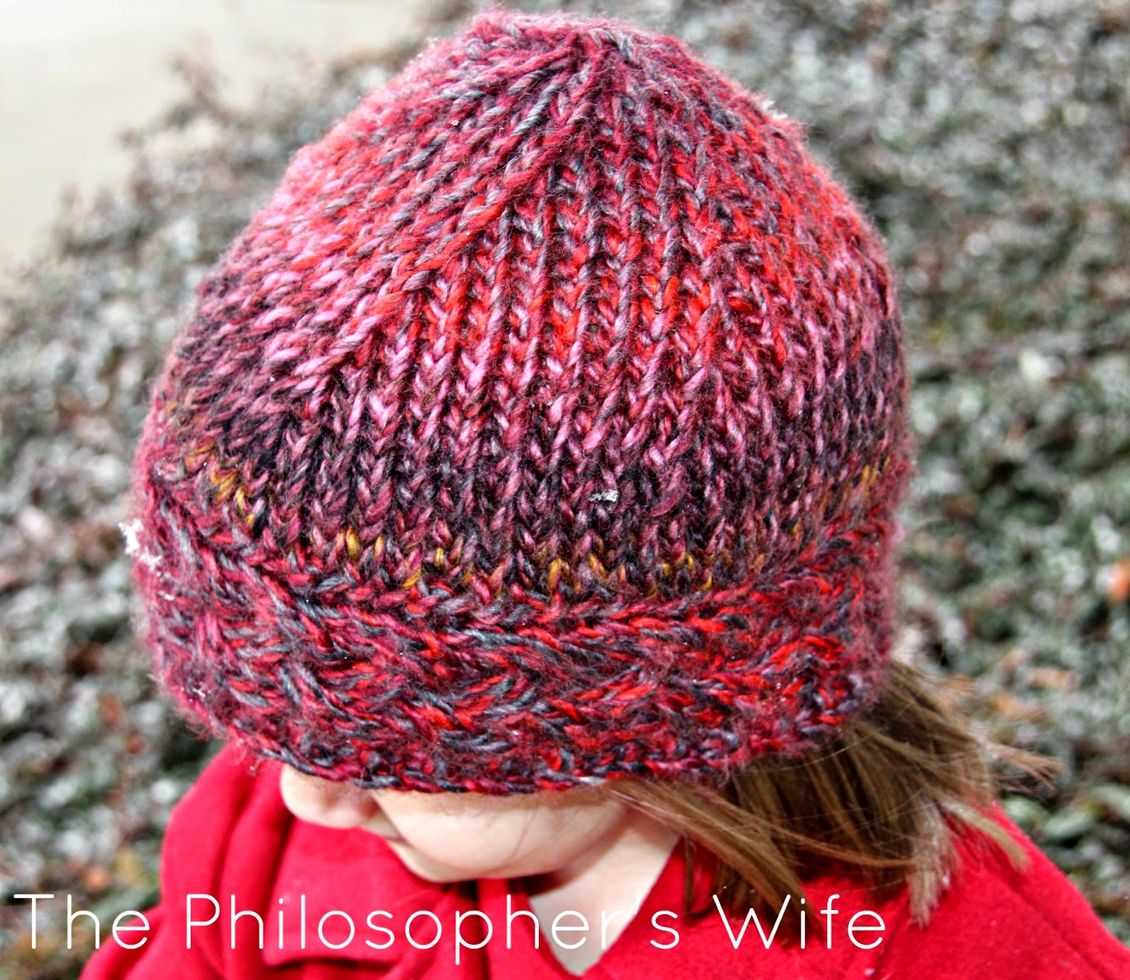 The Philosopher's Wife: Berries Blast Beanie with Red Heart Medley Yarn