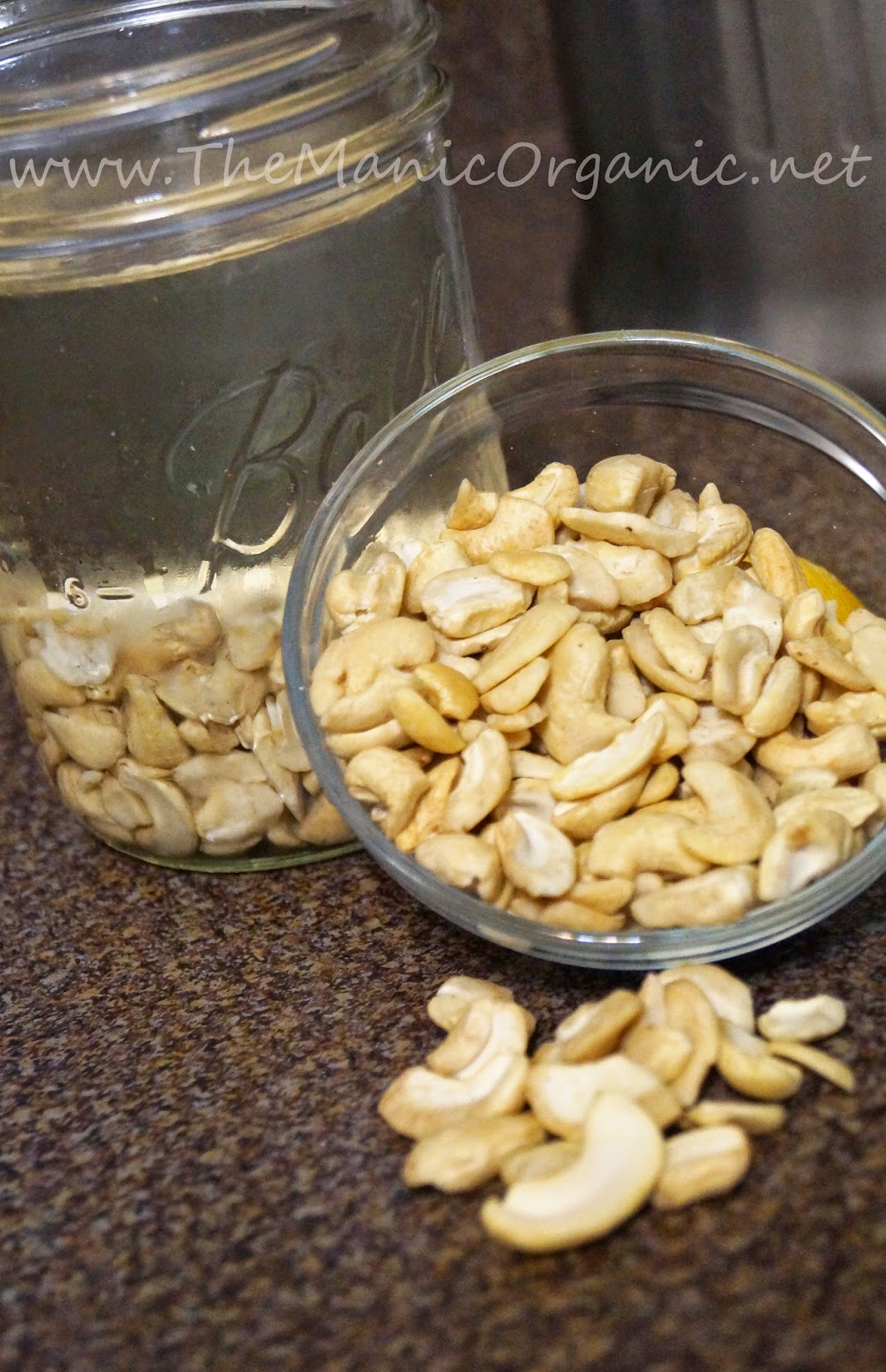 The Manic Organic: Cashew "Milk" and "Cheese"