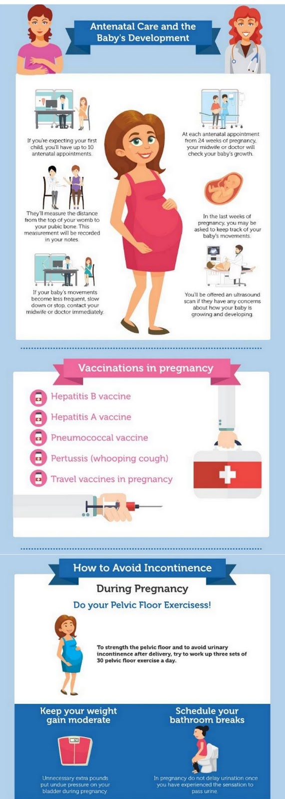 Where Roots And Wings Entwine: Pregnancy guide