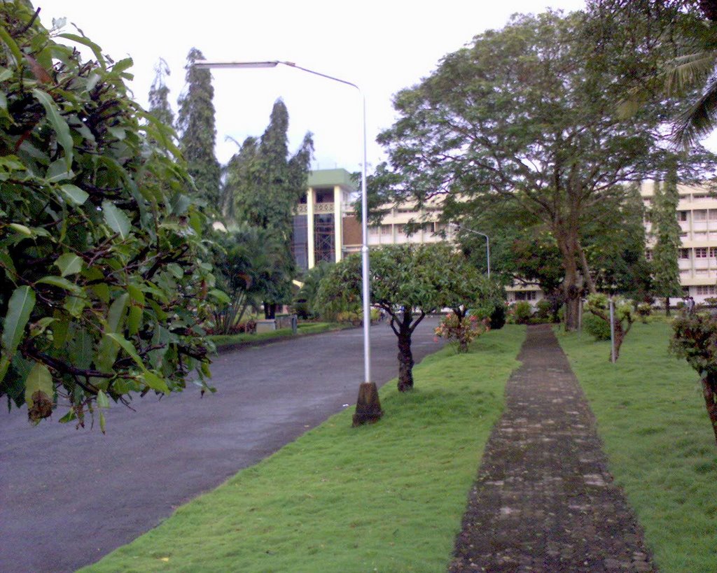 nit Darpan....: NITK Surathkal