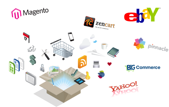 BigCommerce Product Data Entry/Bulk Product Uploading Services ...