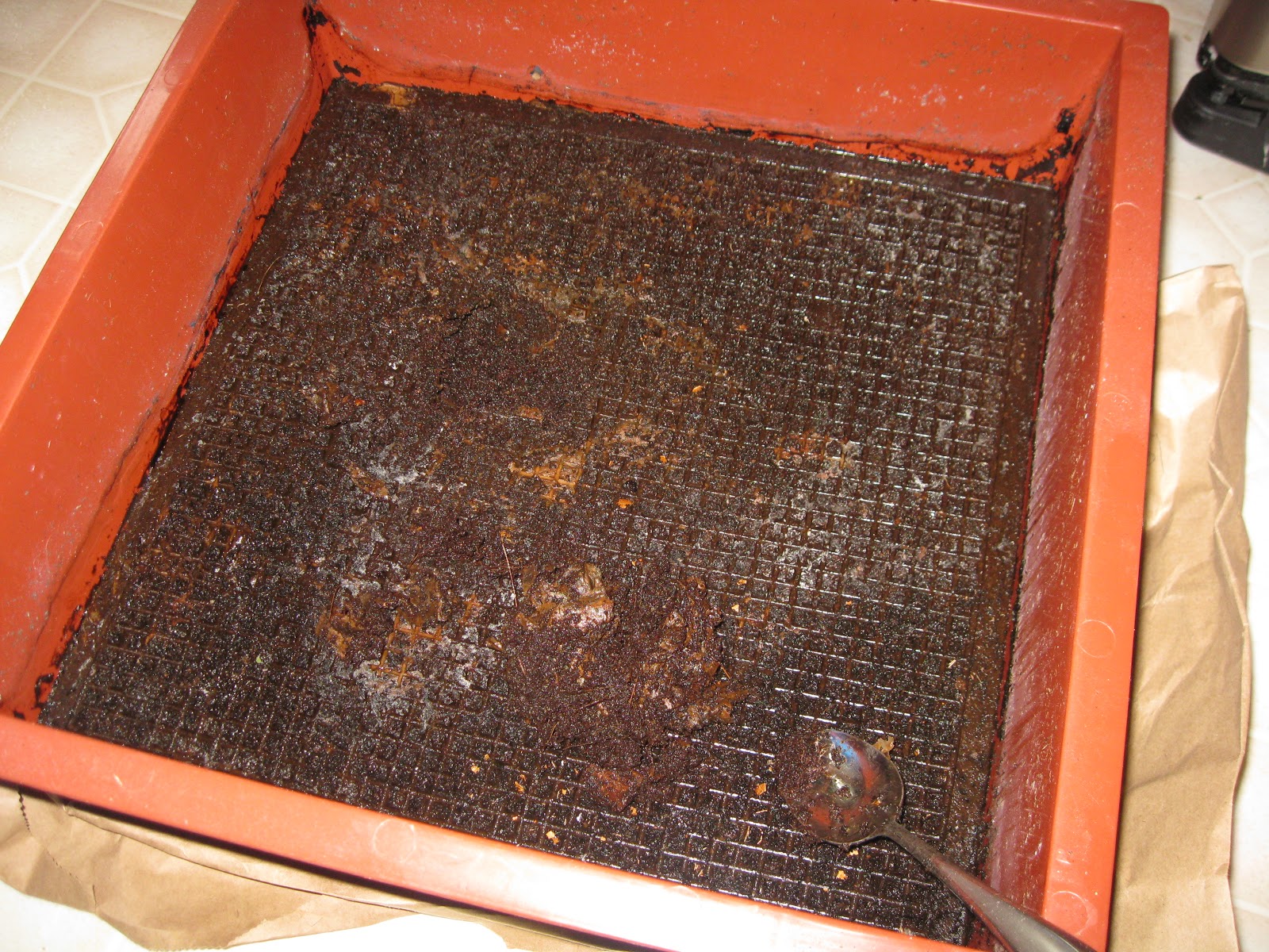 Homeschooling in Buffalo: Worm Farming Adventures