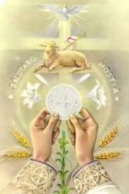 ALFA & ÔMEGA: O significado da palavra hóstia