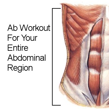 Abdominal muscles/عضلات البطن/腹肌(Fù jī) | Step by step into english in ...
