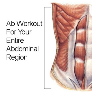Abdominal muscles/عضلات البطن/腹肌(Fù jī) | Step by step into english in ...