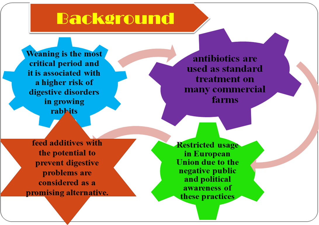 Animal Science and Technology: Rabbit science (ppt assignment)