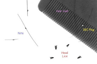 Momma Jorje: If not chemicals, then what?