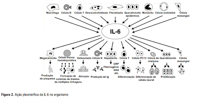 TUDO O QUE ACONTECE NO MUNDO: UMA NOVA INTERLEUCINA NO TRATAMENTO DAS ...