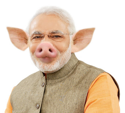 funny Narendra Modi Photo