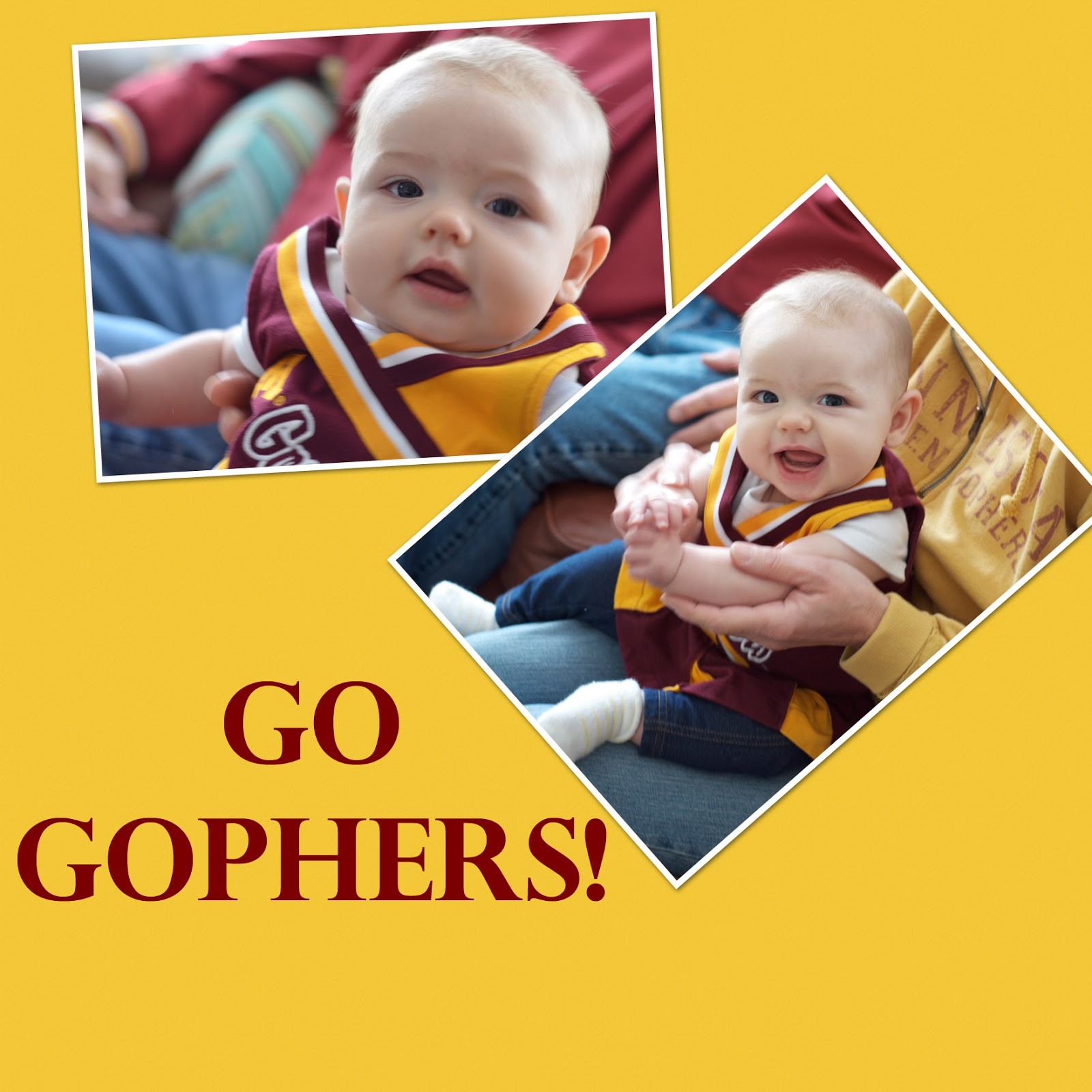 Duplexity: Go Gophers!