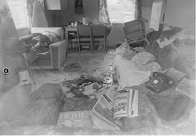 Face Obscura: DALE MERLE NELSON