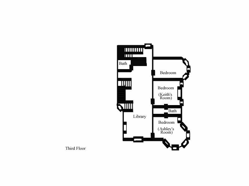 Daune O'Shaunnessey: The Franklin Castle - Floor Plan