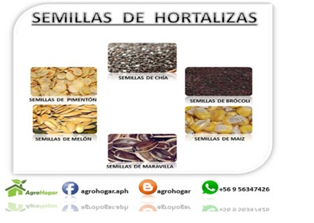 AGROHOGAR Agricultura Urbana: ¿Da lo mismo dónde compre mis semillas?