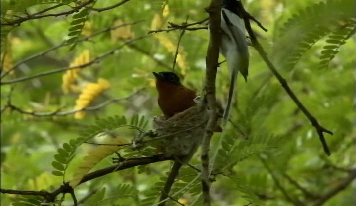 Madagascar - Land like no other