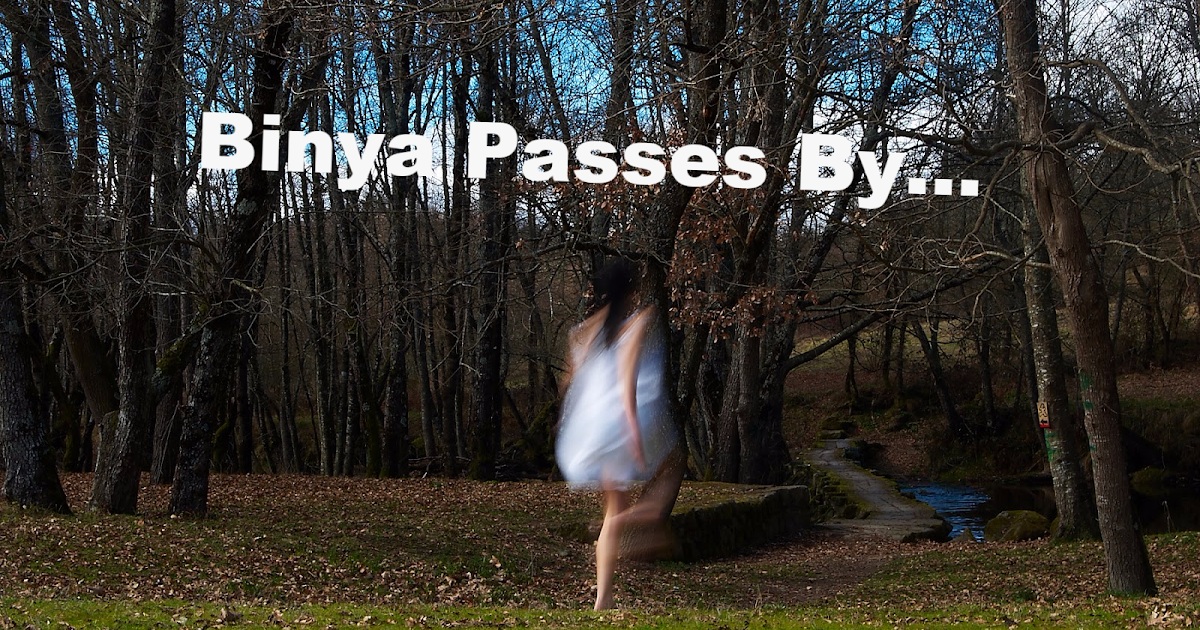 Book Review: Binya Passes By – Ruskin Bond
