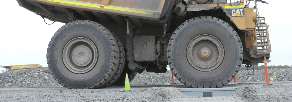 Epic Entrepreneur: A Leader in Industrial Weighing Solutions: Walz Scale