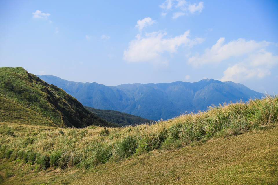 ink + adventure: Exploring Yangmingshan: QingTianGang Grasslands