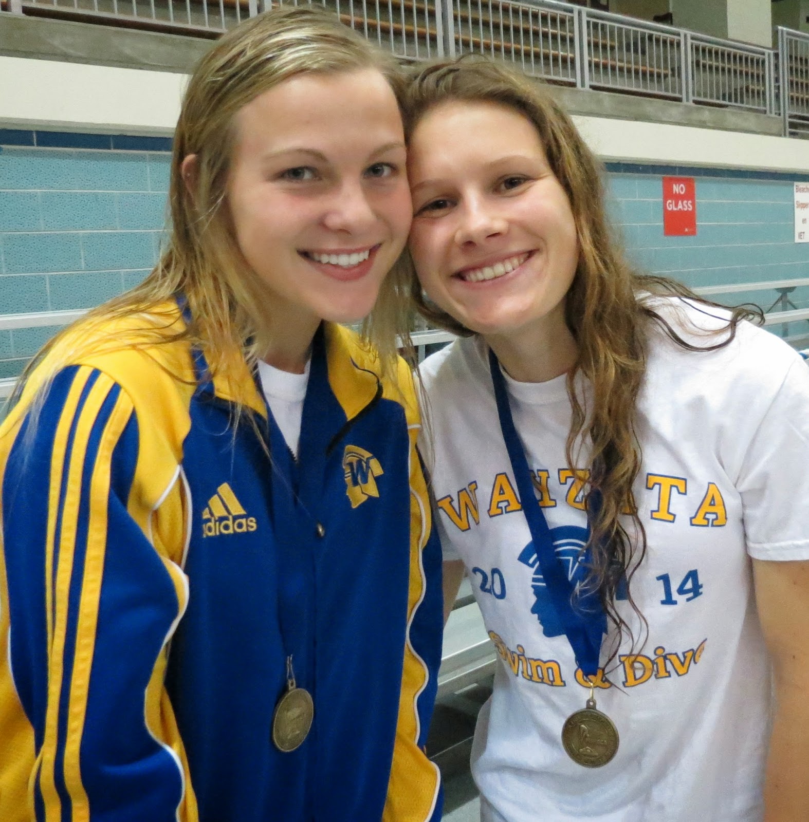 Wayzata High School Girls Swim and Dive: True Team State @ University ...