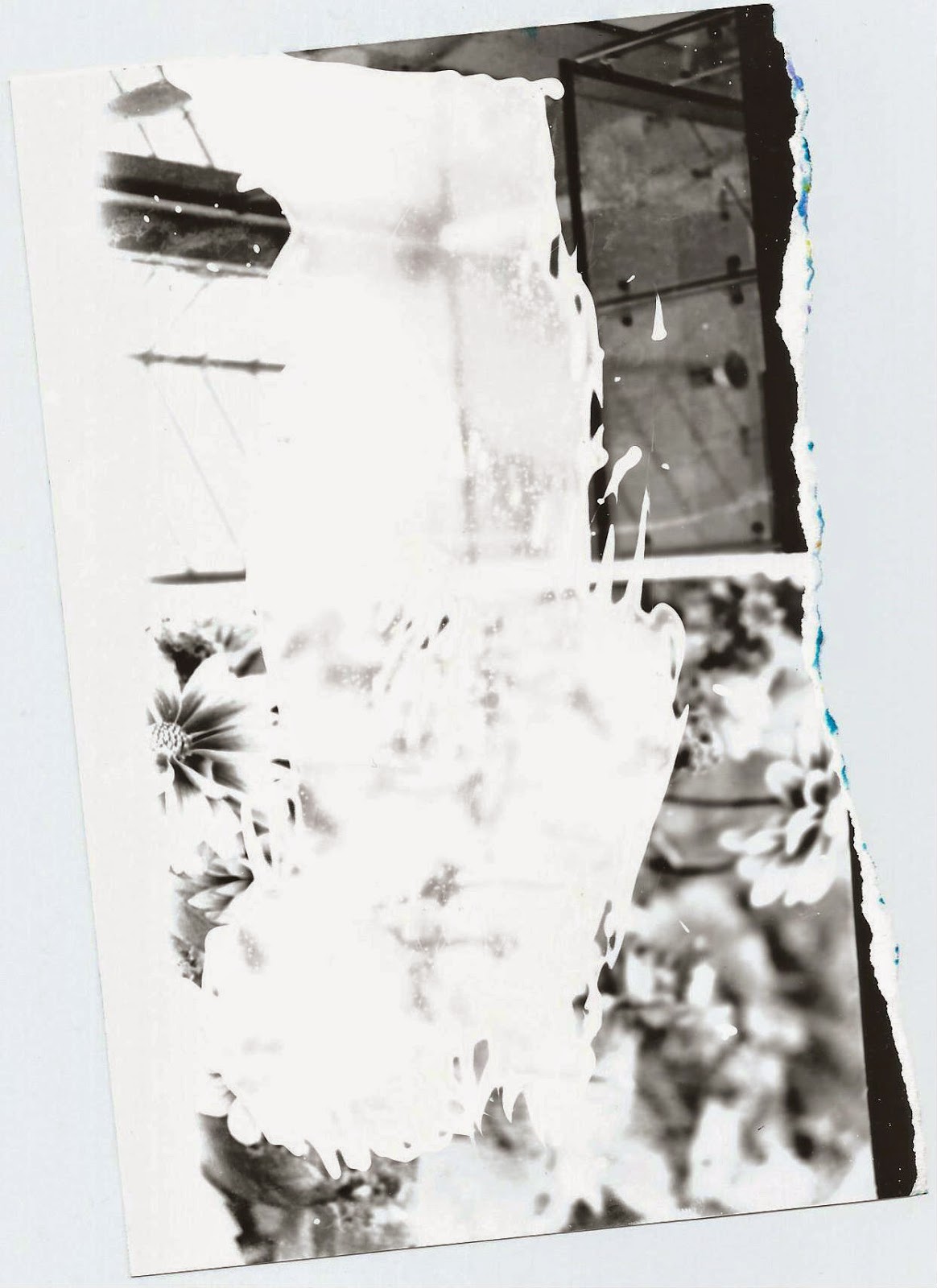 Katie's A-level photography: Pierre Cordier chemigrams inspiration ...