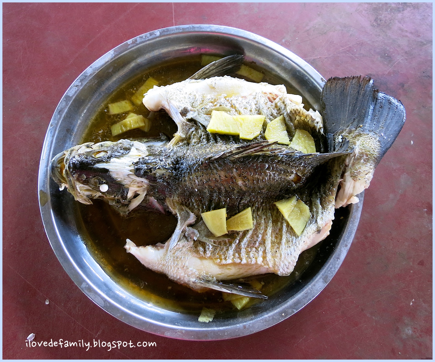 B. C. D. E. That's Us!: Our First Time to a Kelong / Fish Farm