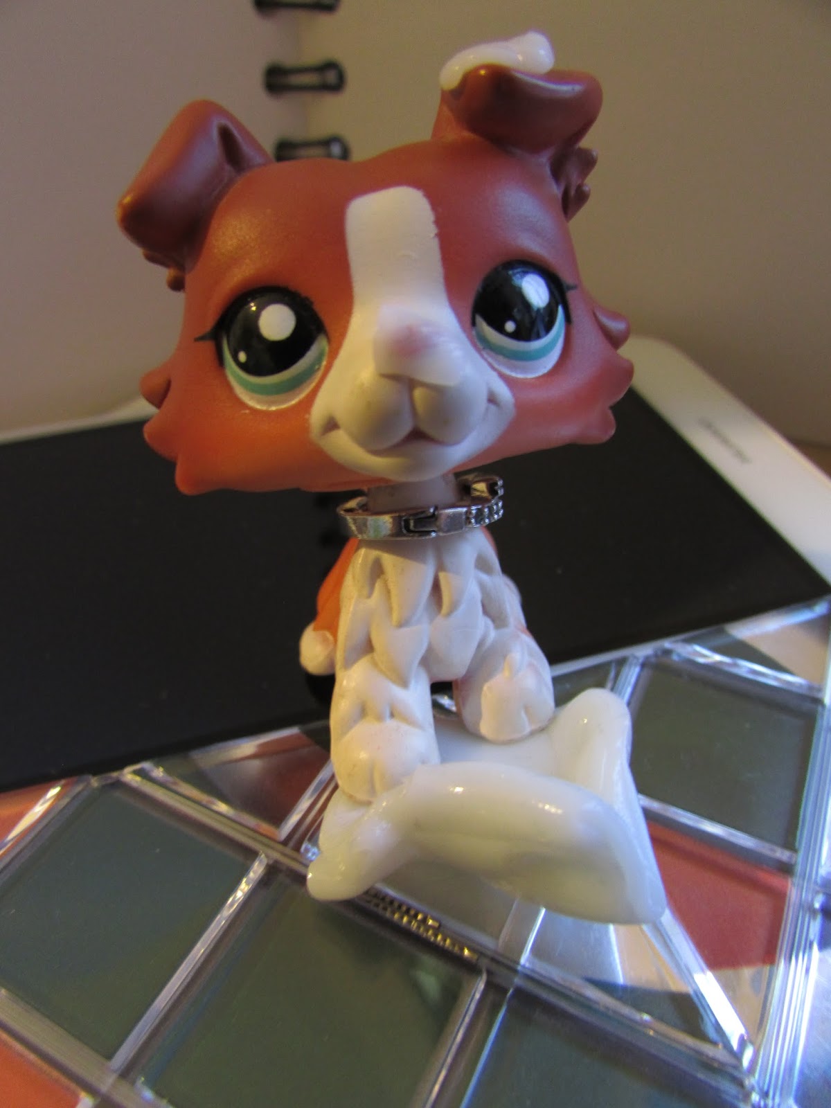 Mój świat LPS: 117. LPS: 15 faktów o... Brigitte! | +informacje techniczne