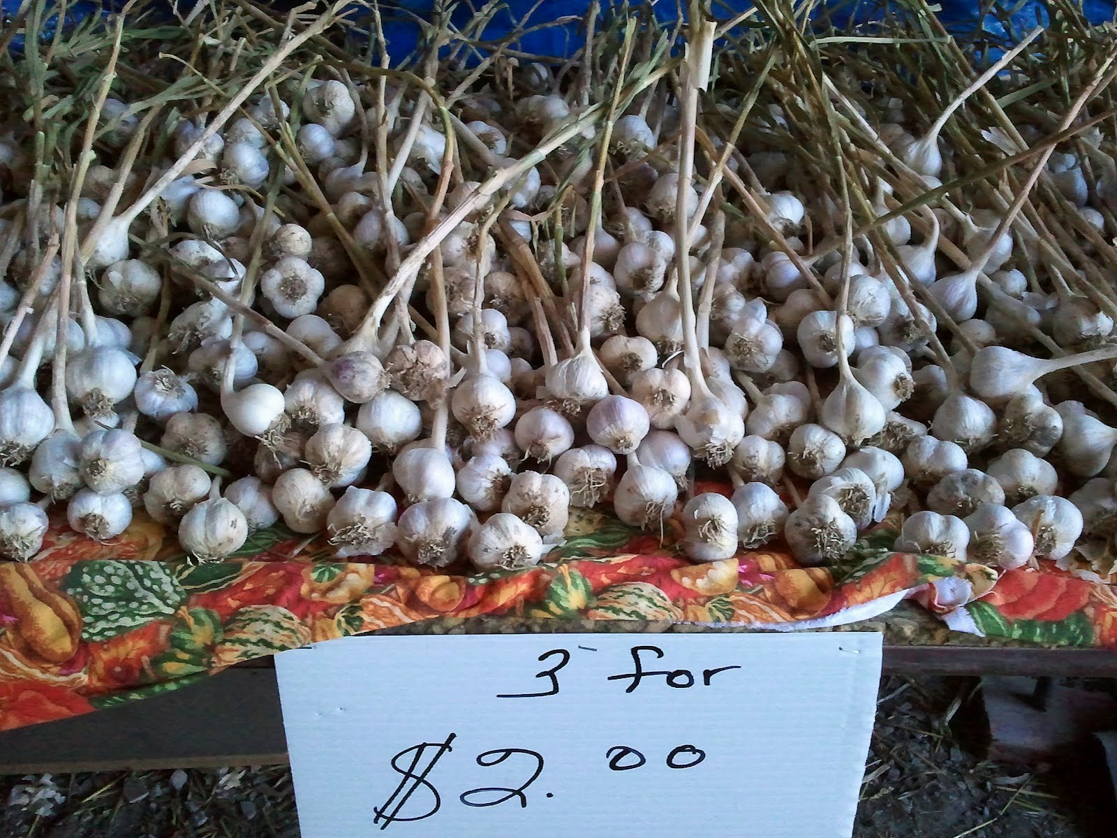 If Music be the Food of Love, Play On: Silver Spring Farm Garlic Fundraiser