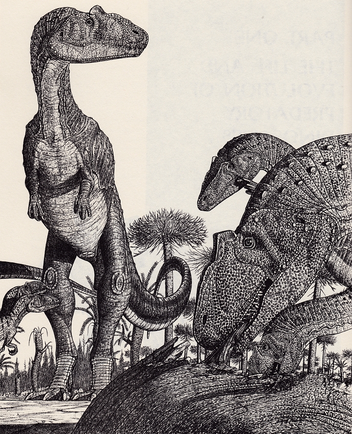 Predatory Dinosaurs
